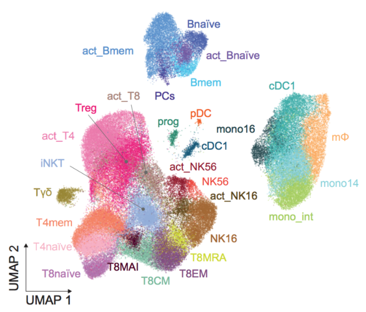 Single-cell Atlas of Common Variable Immunodeficiency